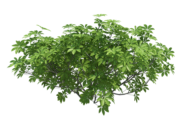 Recaudo verde - Unicoc